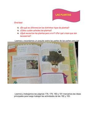 PLANIFICACION ANIMALES Y PLANTAS (1).docx