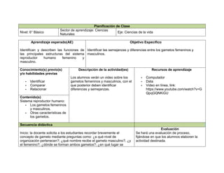 GAMETOS FEMENINOS Y MASCULINOS | DOCX
