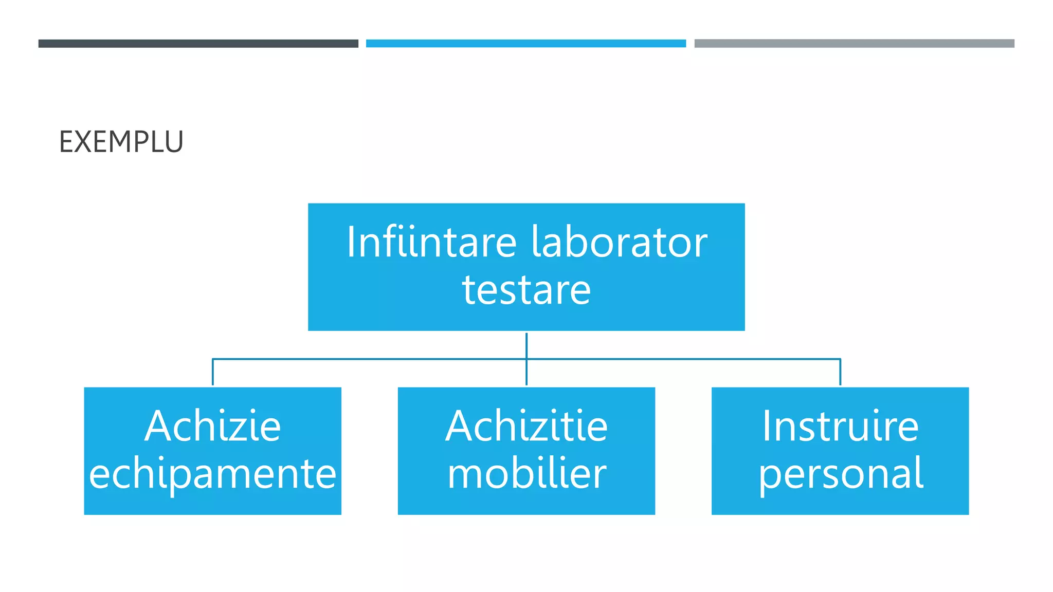PLANIFICAREA ACTIVITĂŢILOR PROIECTULUI.pptx
