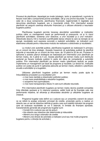 Planificare bugetara publica | PDF