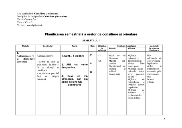 Planificare dirigentie | PDF