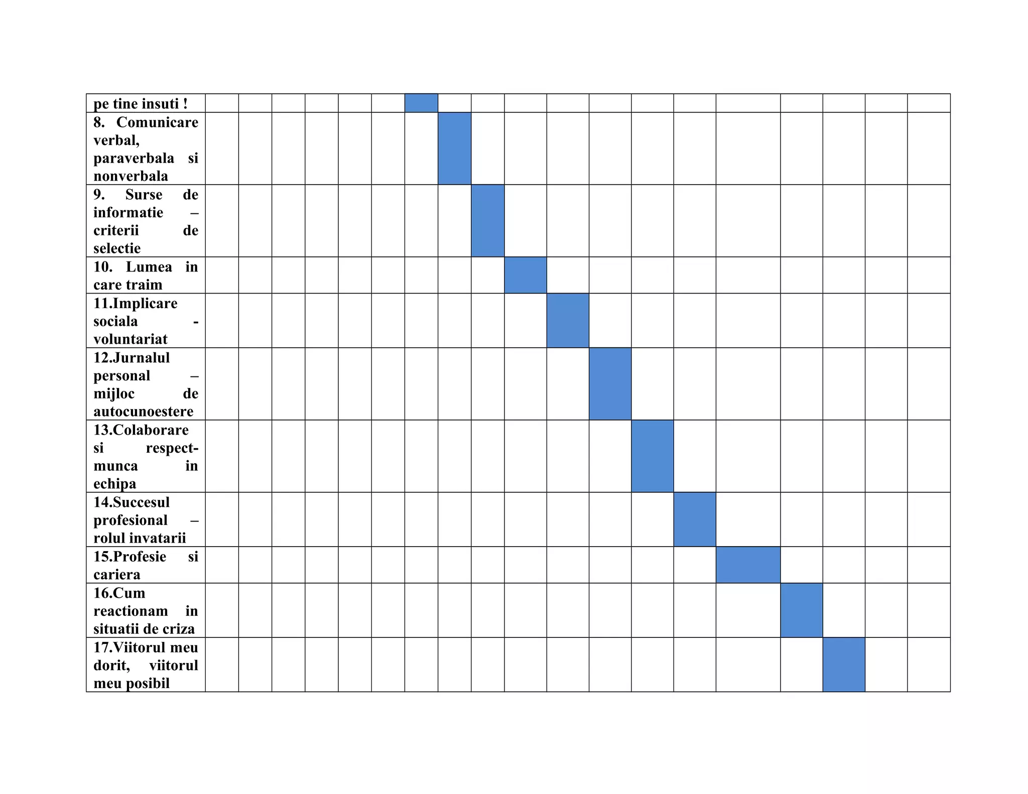 Planificare dirigentie | DOC