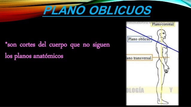 PLANIMETRÍA. ANATOMIA HUMANA.