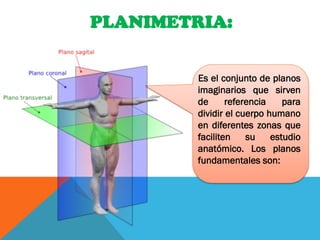 Planimetria | PPT