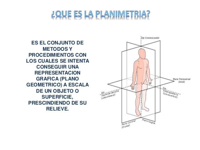 principios básicos Planimetria