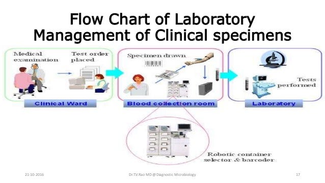 DIAGNOSTIC VALUE of MEDICAL MICROBIOLOGY