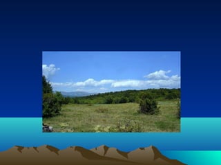 Planinske rudine | PPT