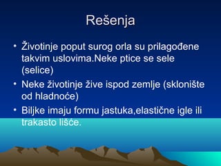 Planinske rudine | PPT