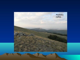 Planinske rudine | PPT