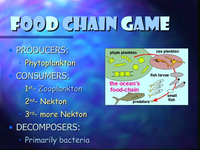 Plankton Presentation | PPT