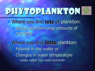 Plankton Presentation | PPT