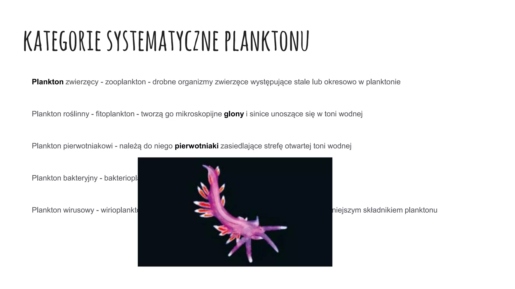 Plankton | PPT
