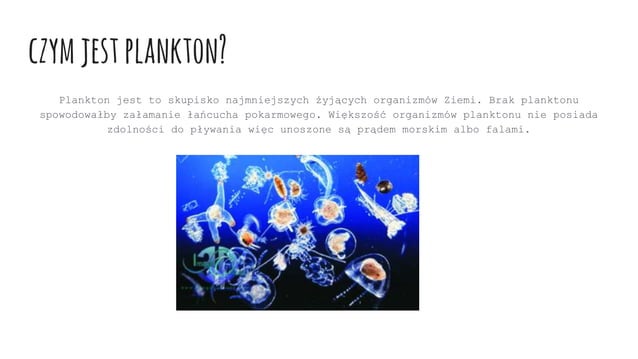 Plankton | PPT