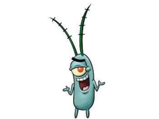 Plankton.pptx