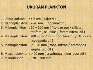 Plankton.pptx