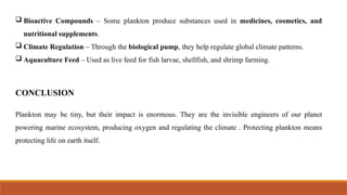 PLANKTON powerpoint in marine biology by marine biologist | PPTX