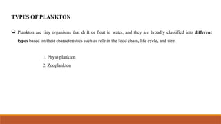 PLANKTON powerpoint in marine biology by marine biologist | PPTX