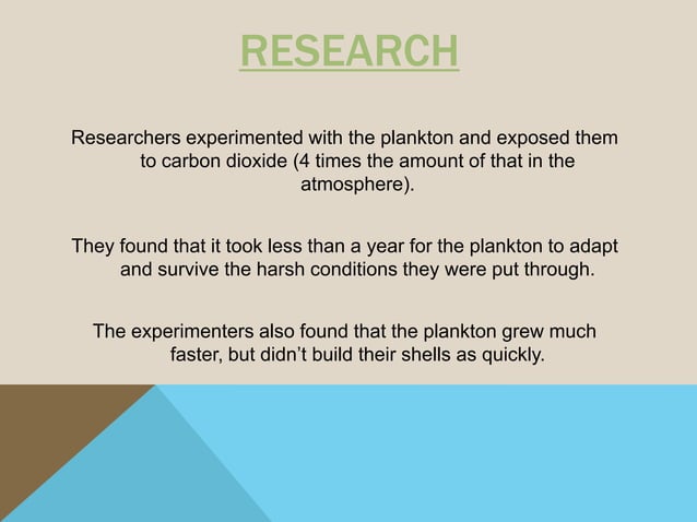 Plankton computers | PPTX