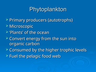 plankton-introduction - pengantar fitoplankton.ppt