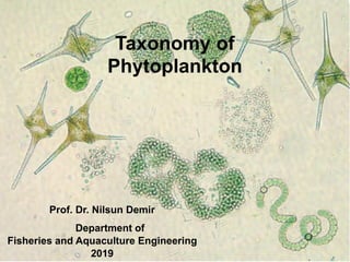 Taxonomy of phytoplankton Fisheries and Aquaculture Engineeringa | PDF