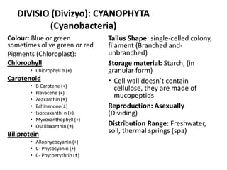 Taxonomy of phytoplankton Fisheries and Aquaculture Engineeringa | PDF