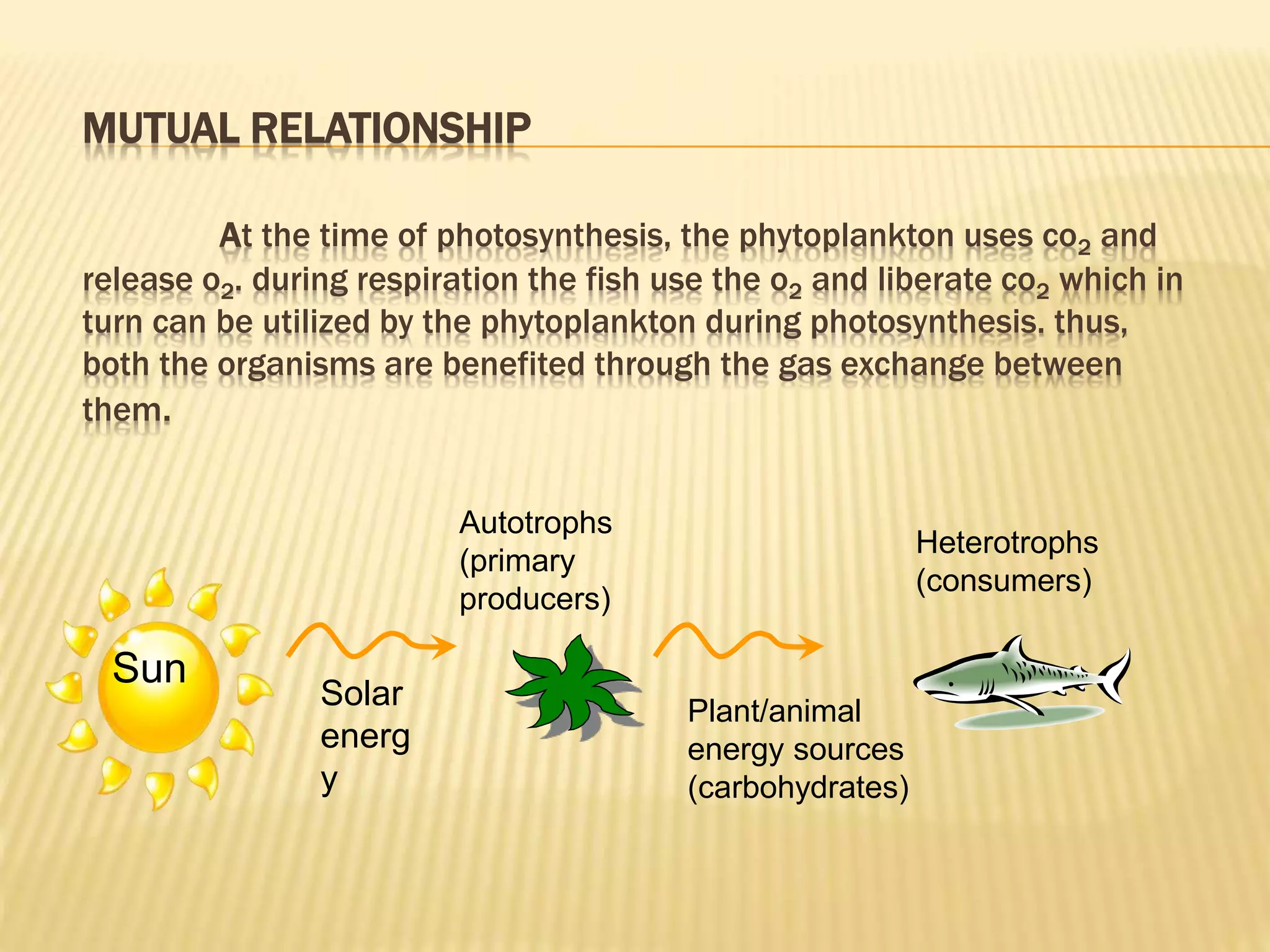 Plankton and fisheries | PPTX