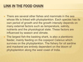 Plankton and fisheries | PPTX