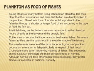 Plankton and fisheries | PPTX