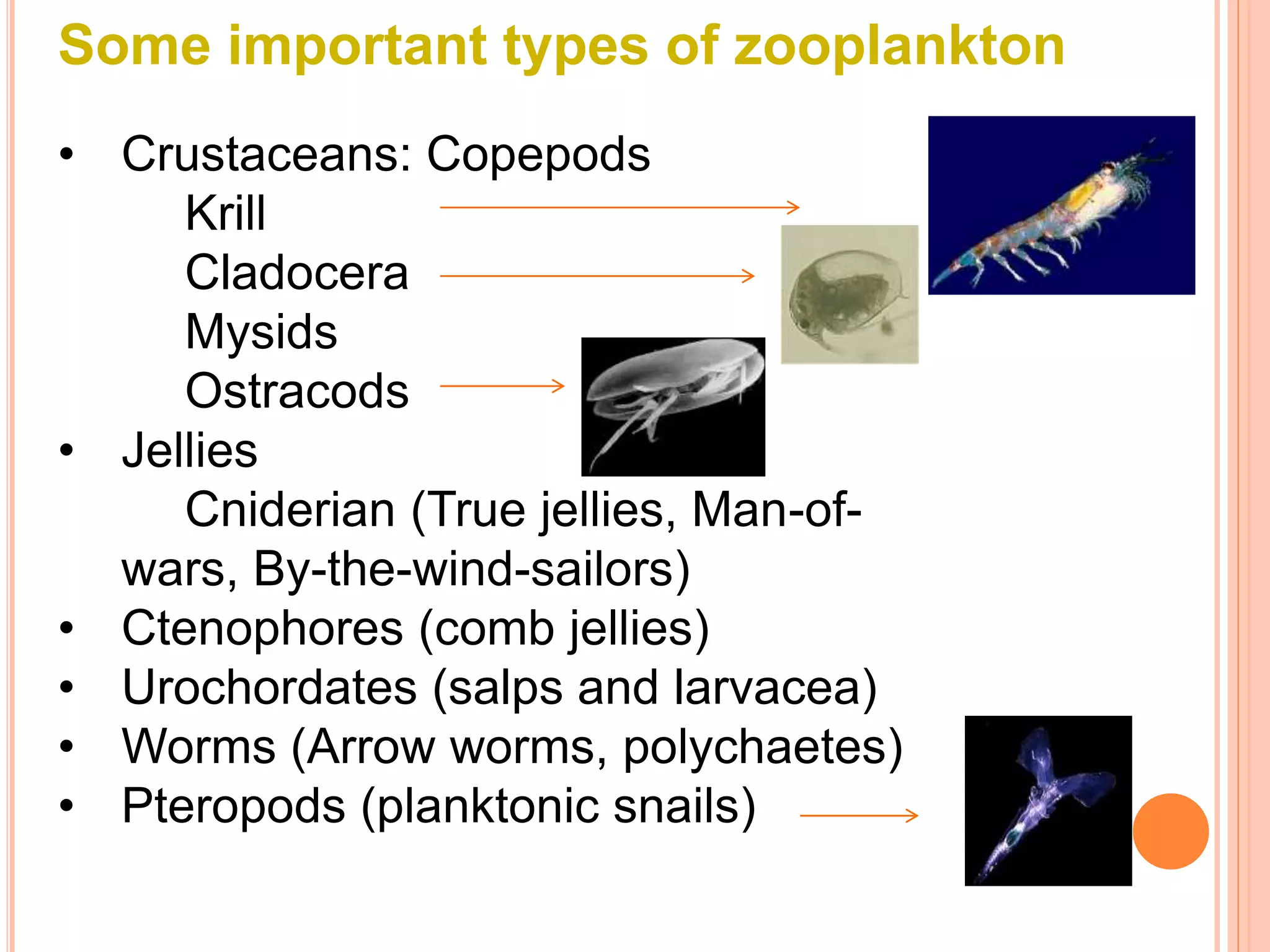Planktone | PPTX | Geography | Science