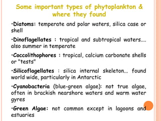 Planktone | PPTX | Geography | Science
