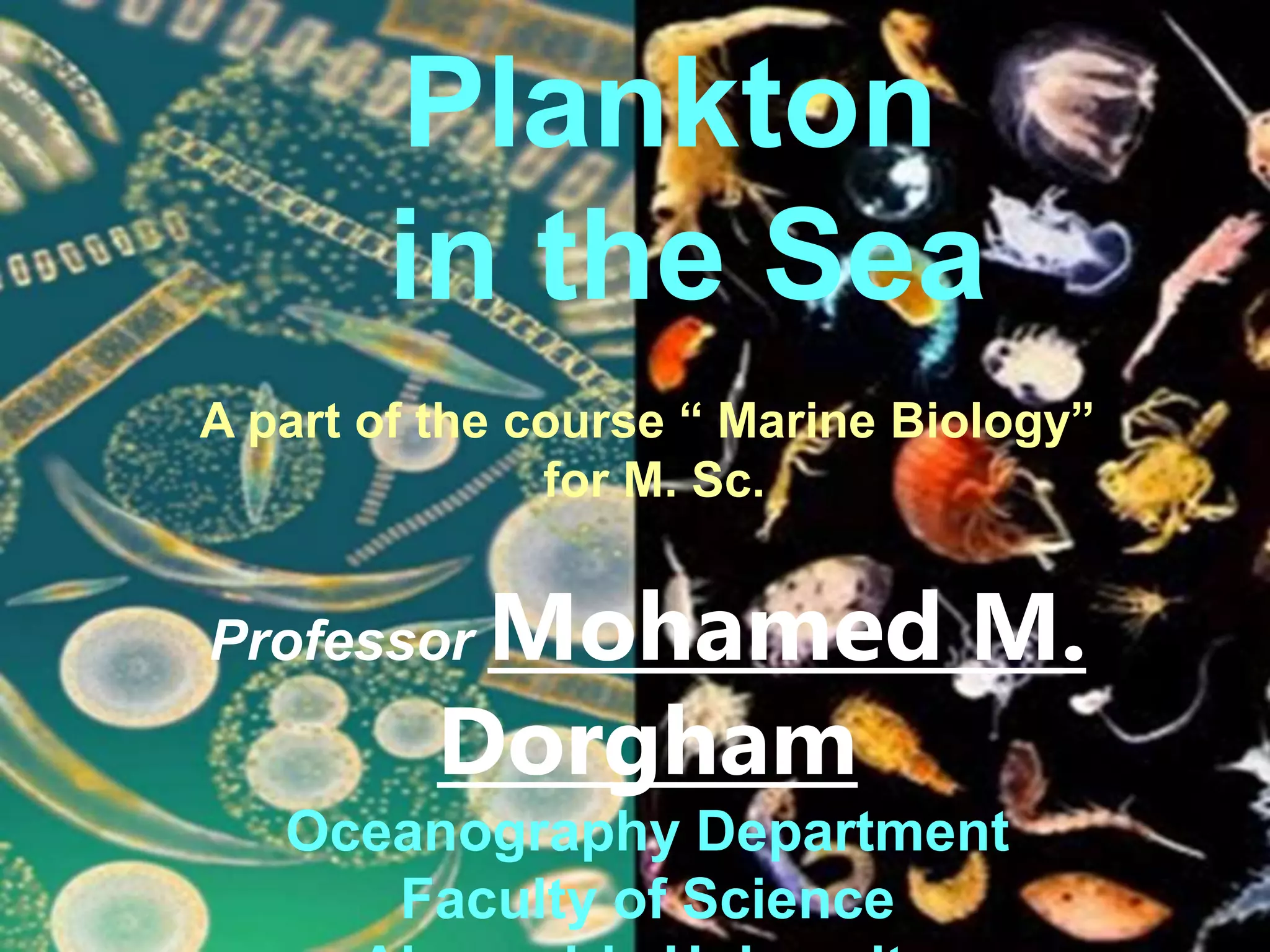 Plankton in the Sea.ppt