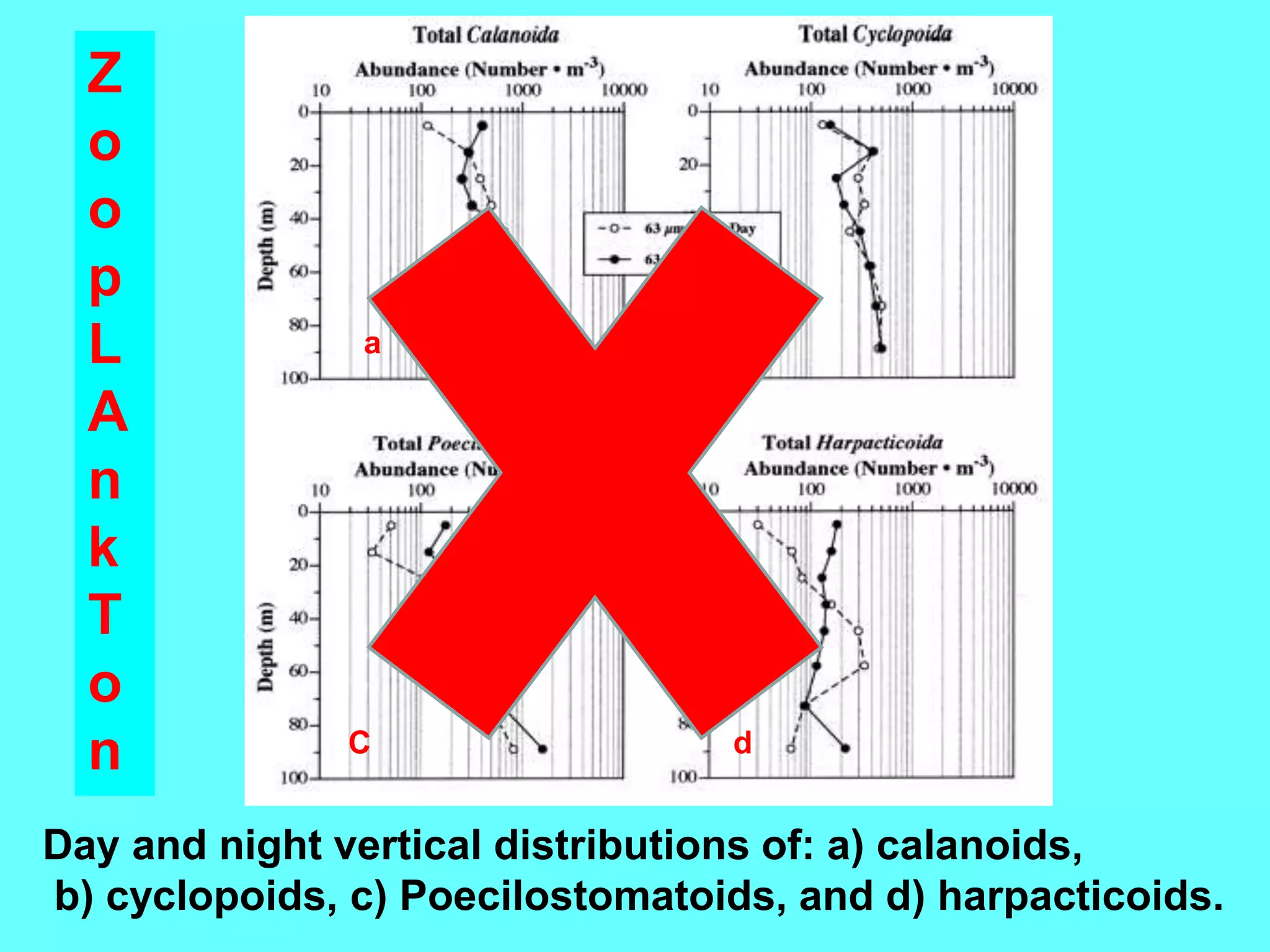 Plankton in the Sea.ppt
