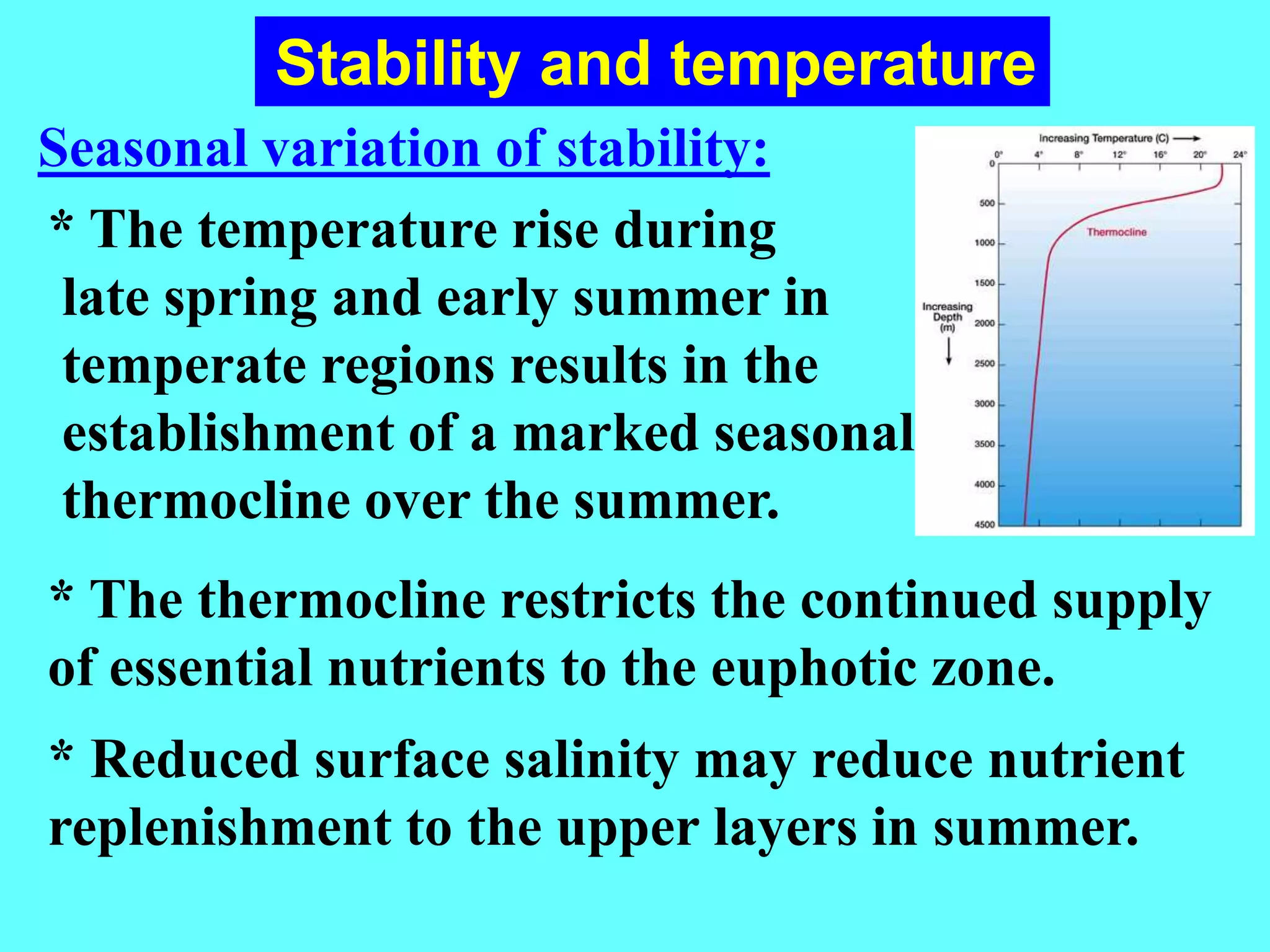 Plankton in the Sea.ppt