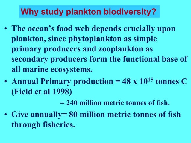 Plankton in the Sea.ppt