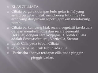 Planktonologi | PPTX