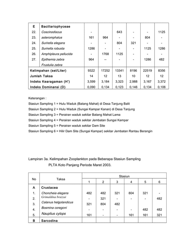 Plankton plta maret 2003 | DOC
