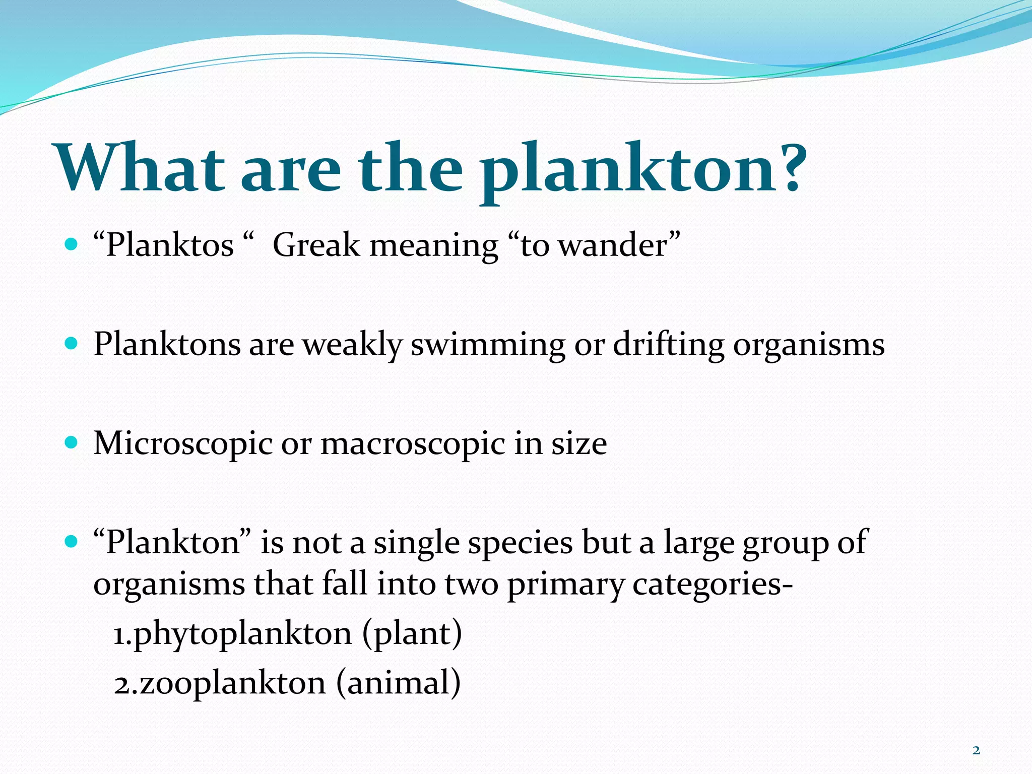 INTRODUCTION OF PLANKTON | PPTX