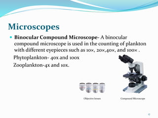 INTRODUCTION OF PLANKTON | PPTX