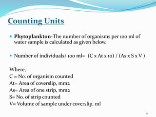 INTRODUCTION OF PLANKTON | PPTX