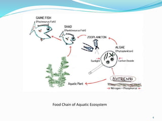 INTRODUCTION OF PLANKTON | PPTX
