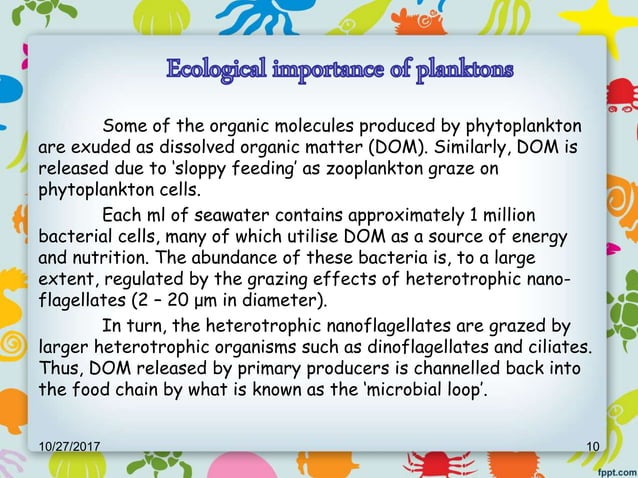 Planktons | PPTX | Biological Sciences | Science