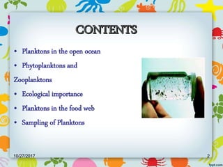 Planktons | PPTX | Biological Sciences | Science