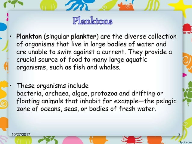 Planktons | PPTX | Biological Sciences | Science