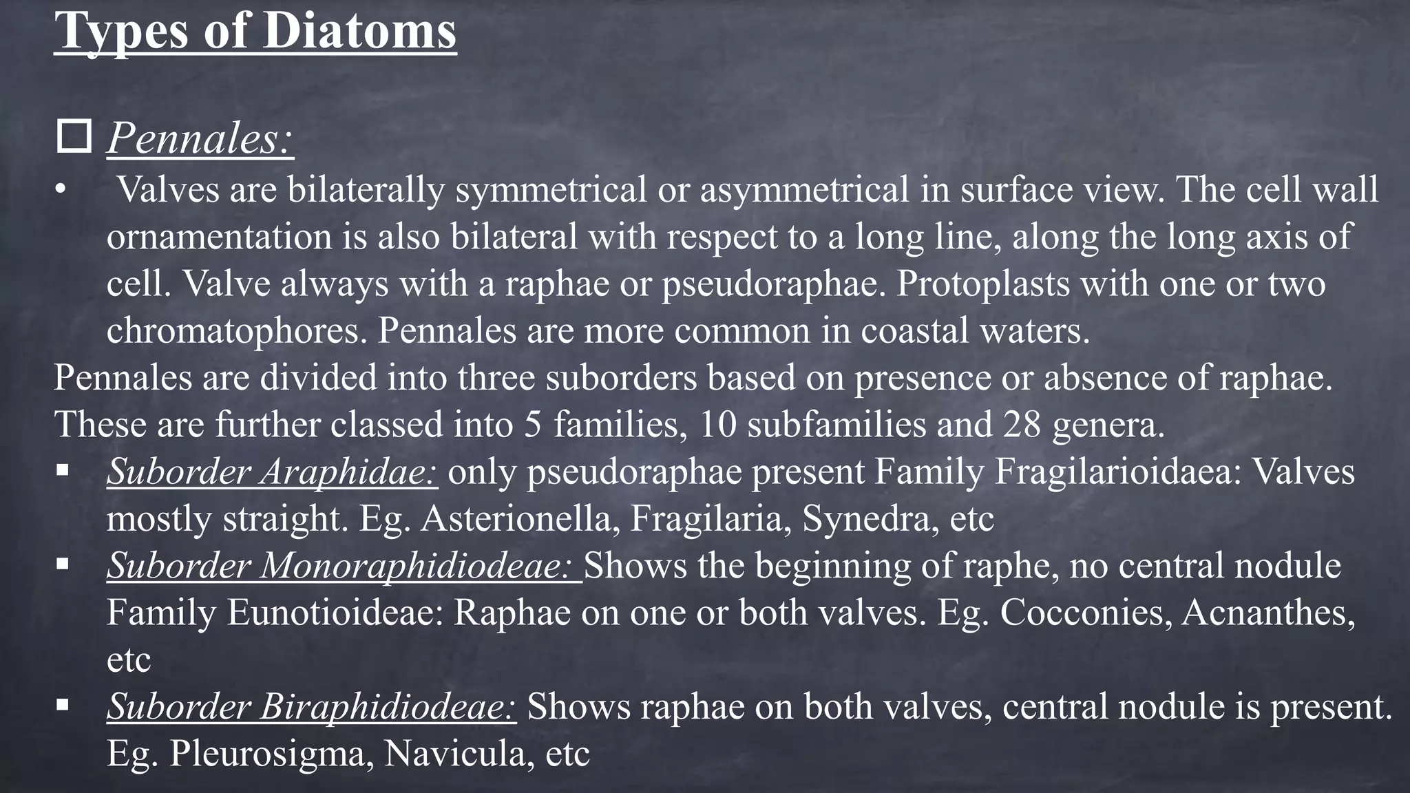 Planktons, diatoms and forensics | PPTX