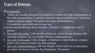 Planktons, diatoms and forensics | PPTX