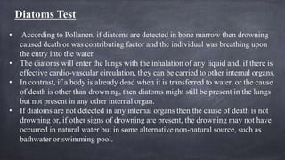 Planktons, diatoms and forensics | PPTX