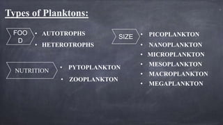 Planktons, diatoms and forensics | PPTX