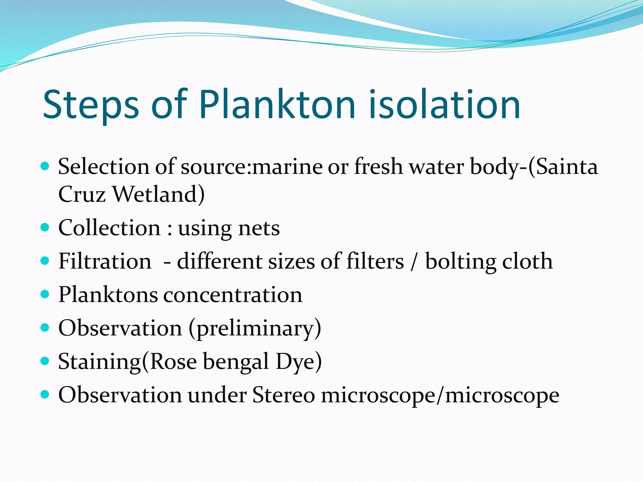Plankton isolation / Classification | PPTX