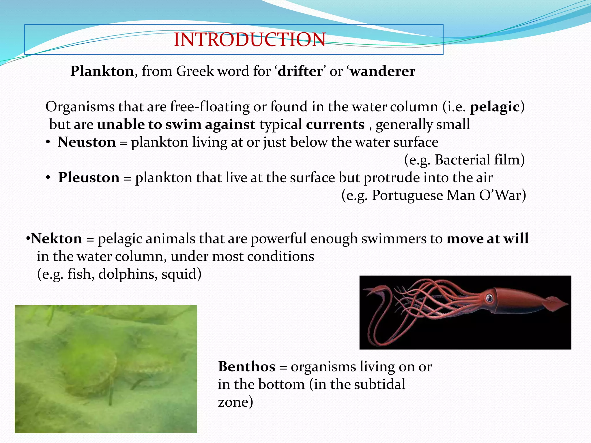Plankton isolation / Classification | PPTX