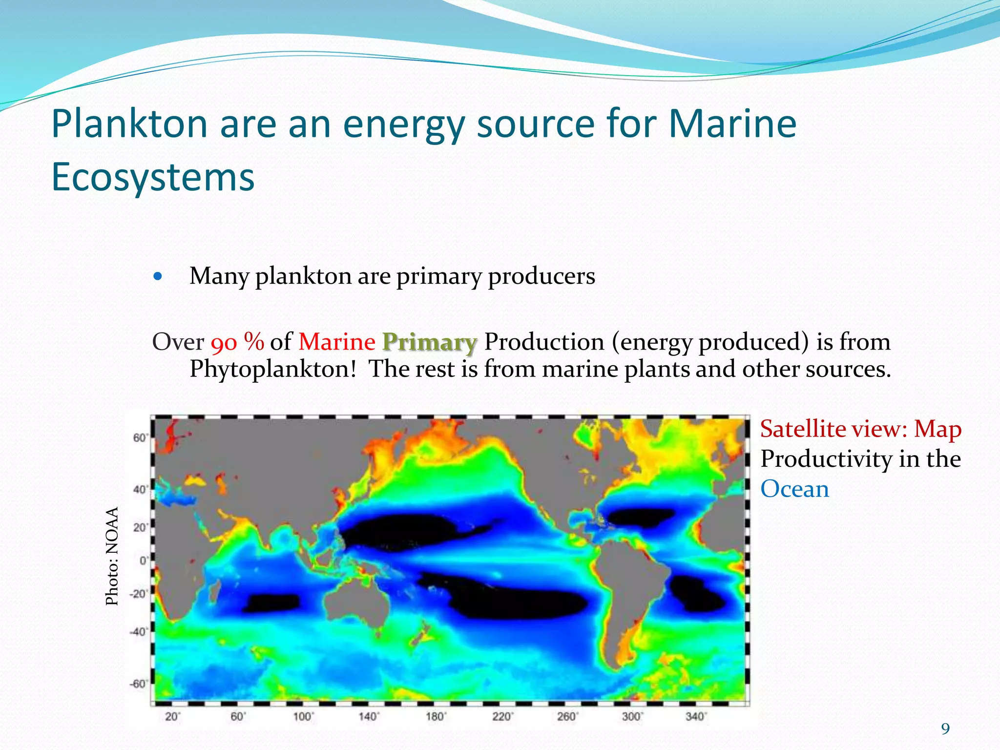 Plankton isolation / Classification | PPTX